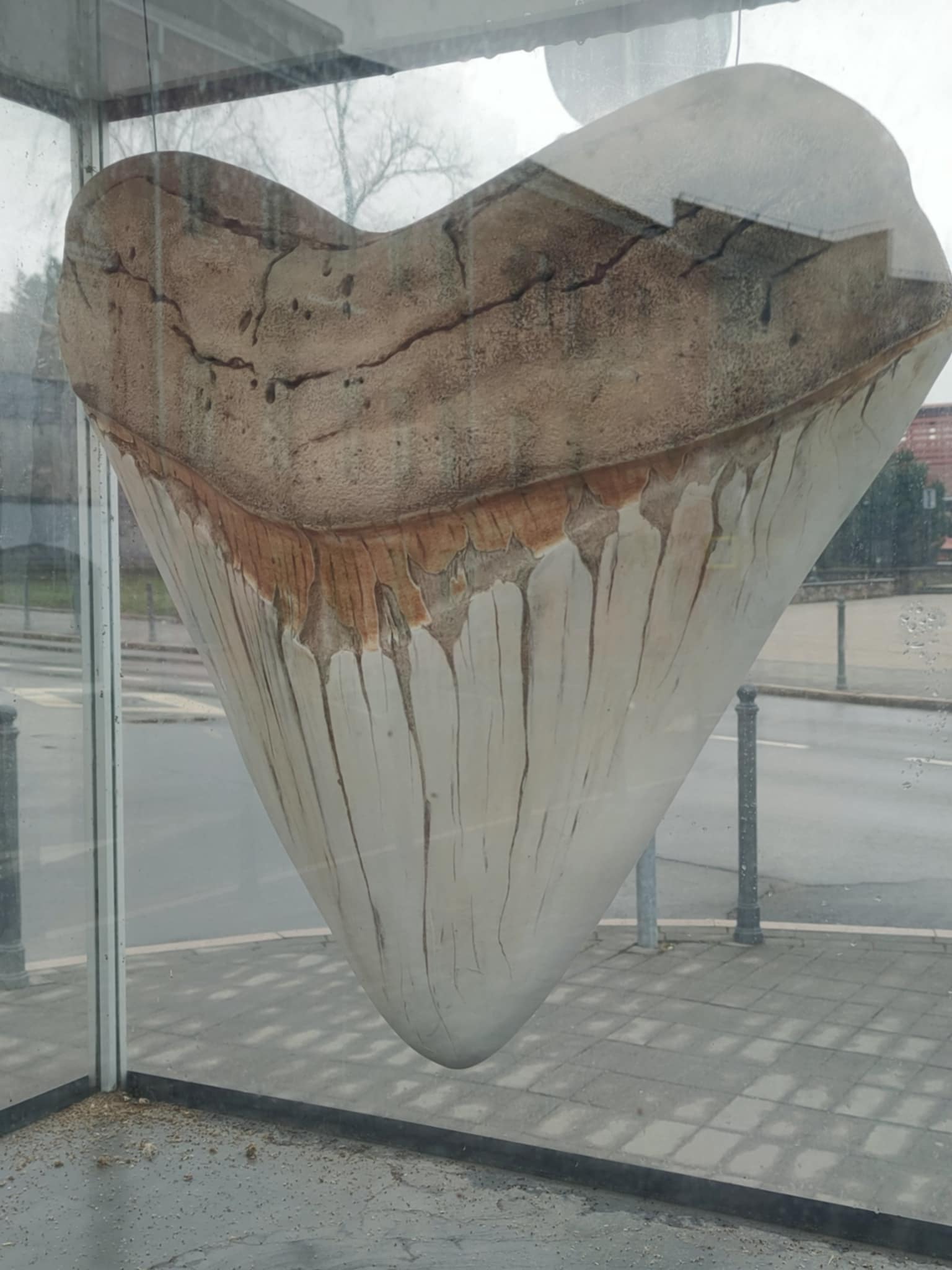 MyTravis - Kaunas Beast: A City Symbol Shrouded in Legends